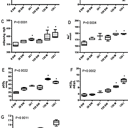 Blood and plasma parameters analyzed in the six different fish groups