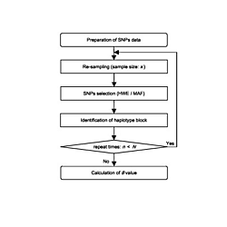 A flow chart of computational simulation