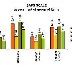 SAPS scale, group of items