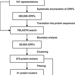 A flowchart of the prediction procedure