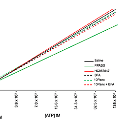 Vizzard Supplemental Figure 1.tiff