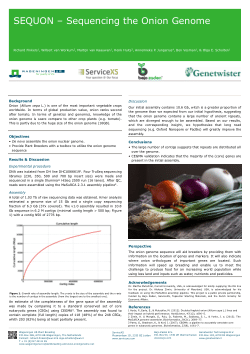 SEQUON – Sequencing the Onion Genome
