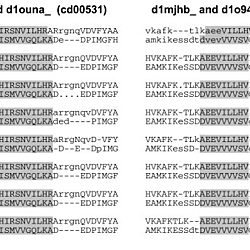 Accuracy of structure-based sequence alignment of automatic methods-1