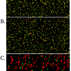 Microarray images