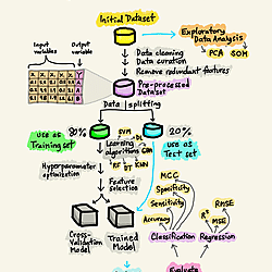 Building The Machine Learning Model