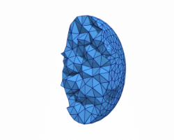 CAD/CAE and Mesh Generation