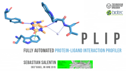 Item - PLIP - Fully automated Protein-Ligand Interaction Profiler ...