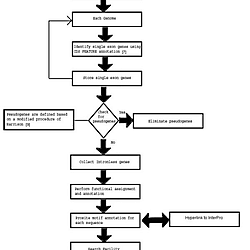 A flowchart describing the development of the database is shown
