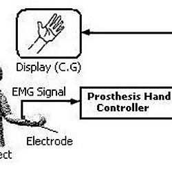 An experimental setup for a real-time EMG pattern recognition system