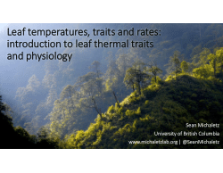 Leaf temperatures, traits, and rates: introduction to leaf thermal ...
