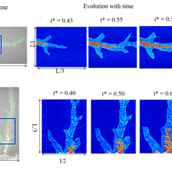 Figure 7. Dissolution pattern for the flow rate 1 ml/h in horizontal ...
