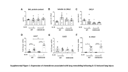 Supplementary Fig S1.pptx