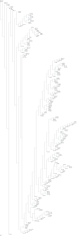 Taxonomic and phylogenetic composition show biotic resistance to exotic ...