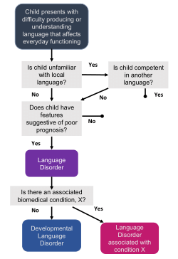 CATALISE simplified flowchart