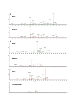 mSphere00936-19 Supplementary Fig. S6