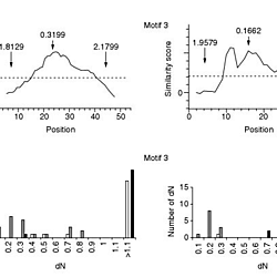 Similarity scores and dN values