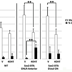 Figure 3 files PNAS