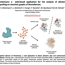 ProteinLens: a web-based application for the analysis of allosteric signalling on atomistic ...