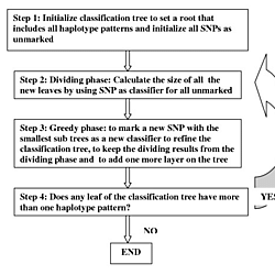 Flow chart of the algorithm