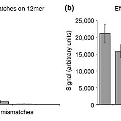 Sensitivity of mismatch detection
