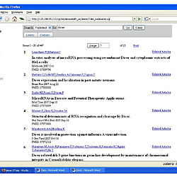 Screenshot of the Anne O'Tate tool returning the PubMed query "dicer