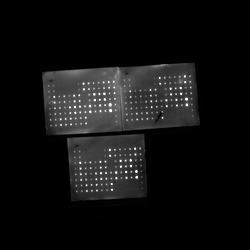 Raw images of Human Apoptosis Antibody Array-Membrane