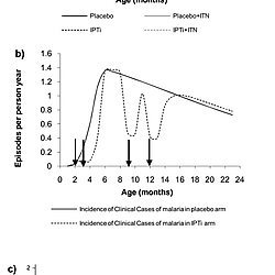 Arrows indicate time of IPTi dosing