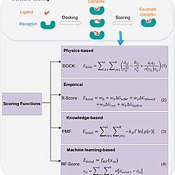 An Overview of Scoring Functions Used for Protein–Ligand Interactions in Molecular Docking