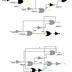 Binary logic representation of the circuits obtained in Figure 5