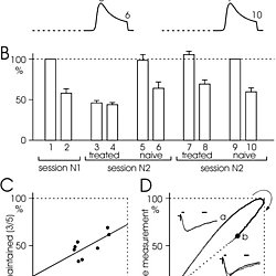 (A1) Schematic representation of the experiment described in Fig