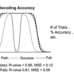 Simulated example of decoding accuracy compared to functional ...