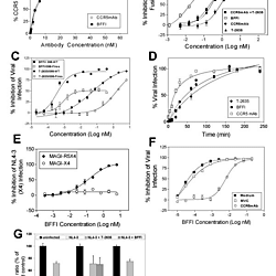 Mechanism of action for BFFI