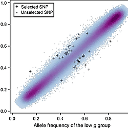 The figure also displays the density of SNPs as a function of low vs