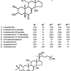 Structures of selected ecdysteroids