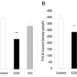 Data shown here are from Fig