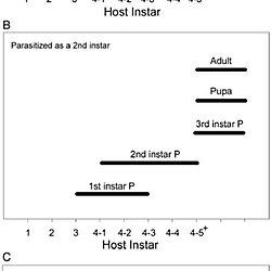 Developmental chronology of as a function of host instar parasitized