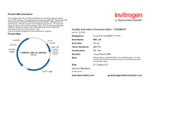 Supplementary data 3.10: pMA-RQ plasmid map for G3 HEV DNA control
