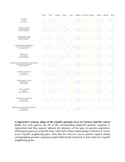 Comparative synteny maps of the Gapdhs genomic locus in Cetacea and Bos ...