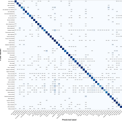 Normalized confusion matrix from the classification results by VGG19