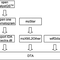 Schematic diagram of the workflows of the three conversion methods