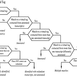 A : An example of identification process using Identitag