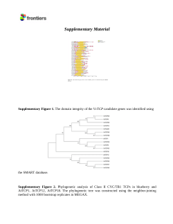 Supplementary_Material.docx