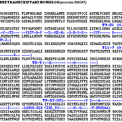Peptide sequence is reported in single-letter code
