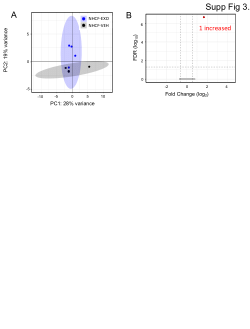 Supplemental Figure 3 210803