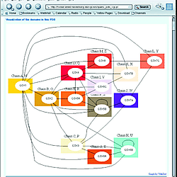 Graph of the COX complex