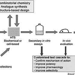 The central role of high-throughput screening (HTS) in the mechanism ...