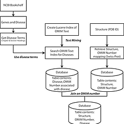 Procedure to create structure-OMIM-disease mapping