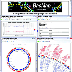 A screenshot montage of the BacMap database