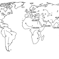 A map of the pattern of expansion and migration of modern humans ...