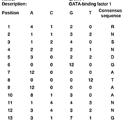 An example of a position-specific weight matrix (PWM) adapted from the ...